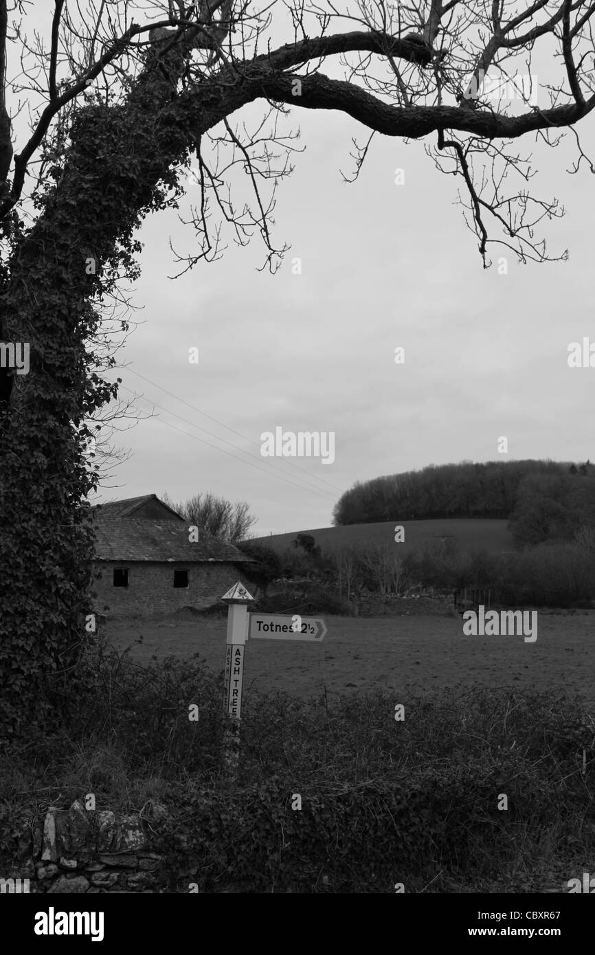 Ash cross hi-res stock photography and images - Alamy