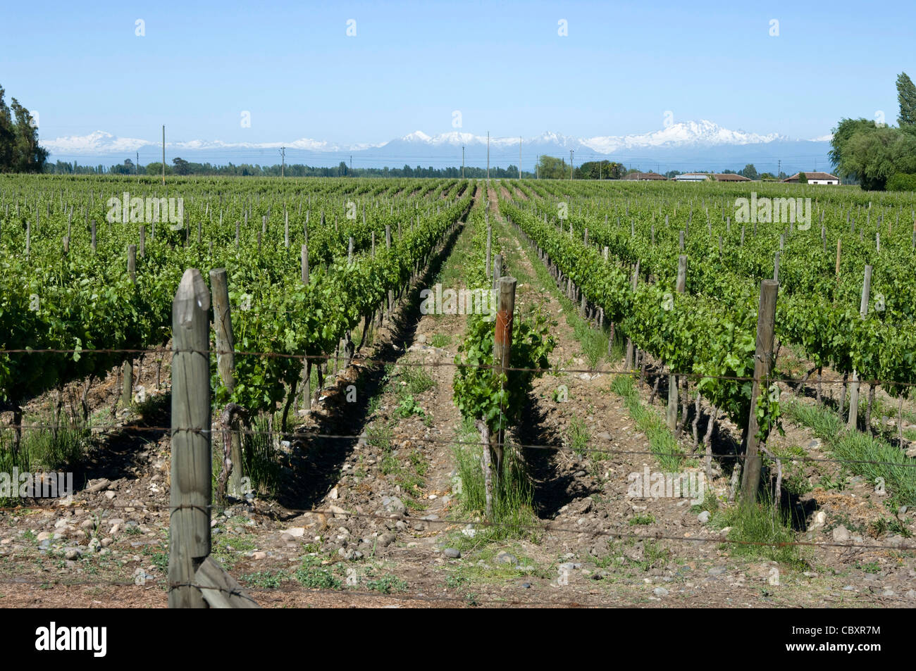 Maule valley chile hi-res stock photography and images - Alamy