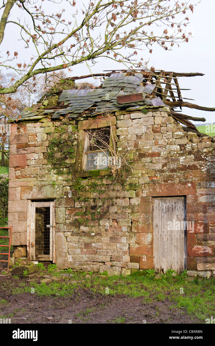 Ruined stone cottage hi-res stock photography and images - Alamy