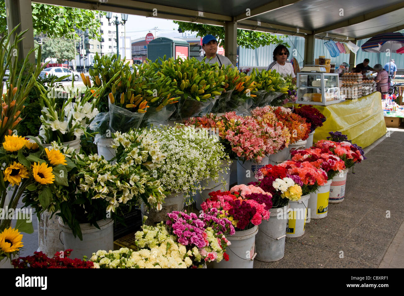 Santiago de Chile city. Market in the square of Los Dominicos. District ...
