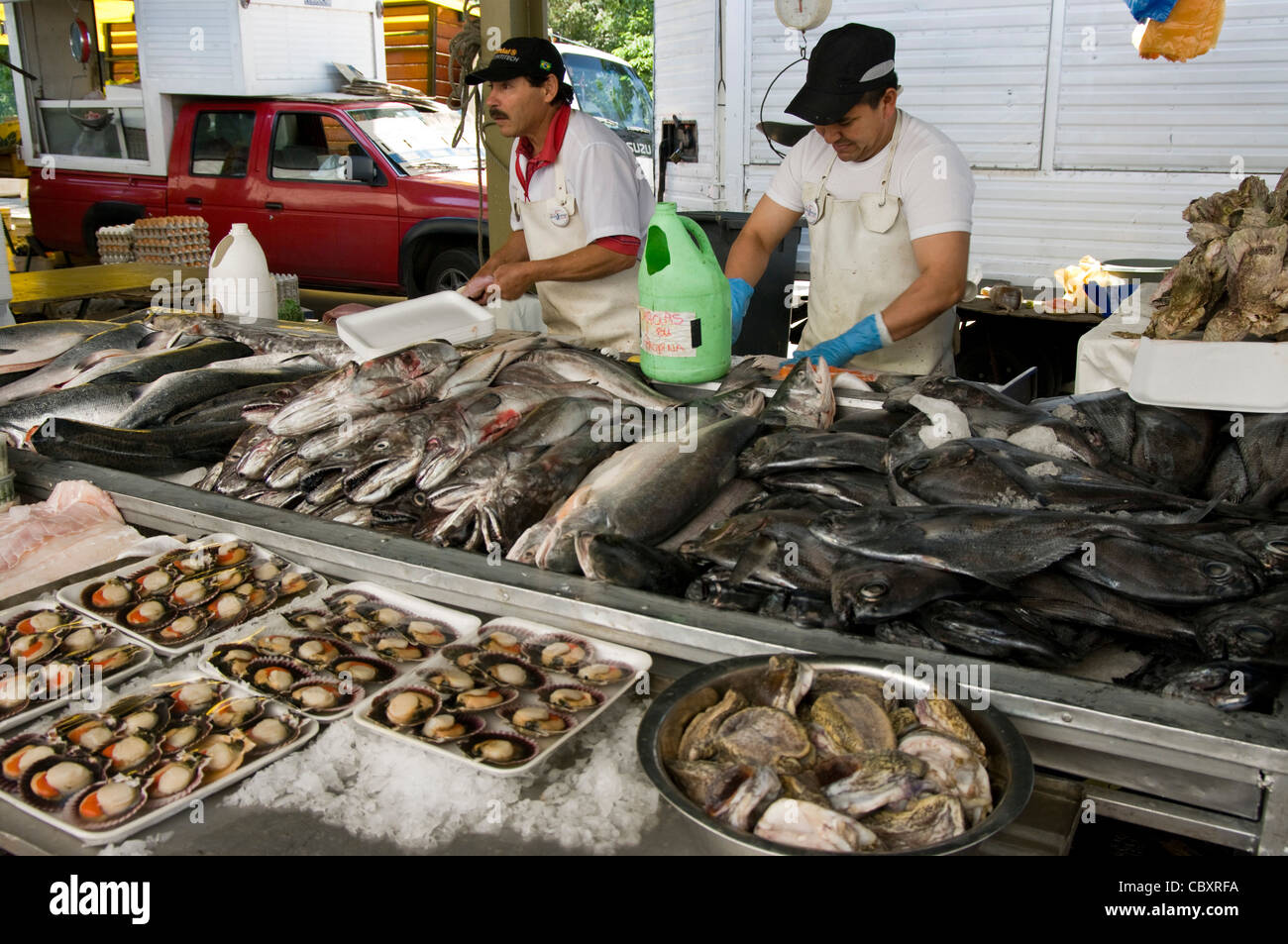 Santiago Chile Street Market High Resolution Stock Photography and ...