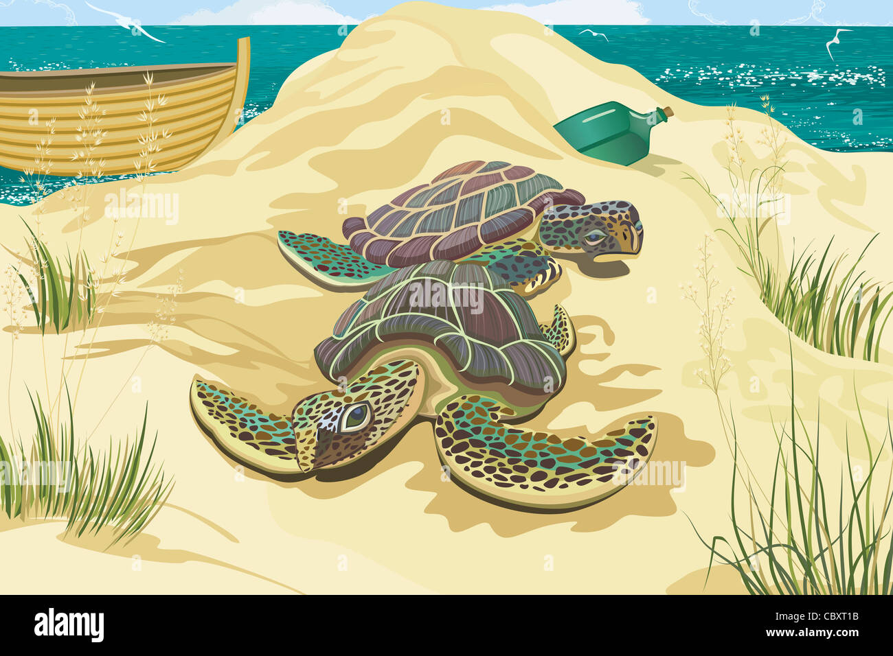 Two green sea turtles on the beach hi-res stock photography and images ...
