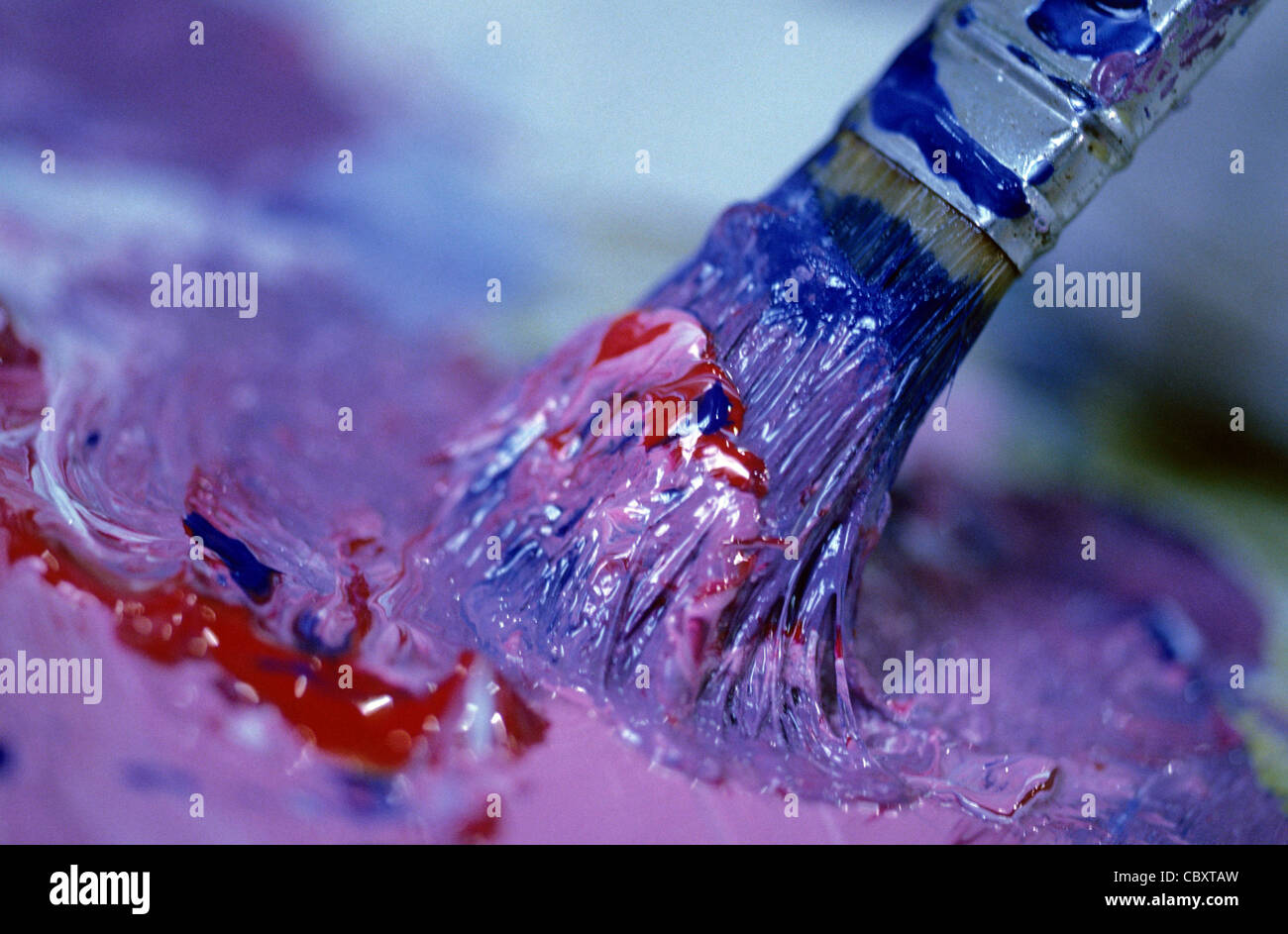 painting brush close up Stock Photo - Alamy