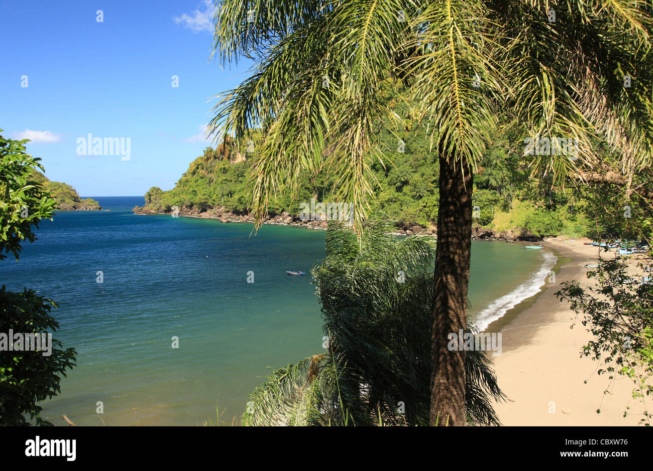 Tropical beach on St. Vincent in the Caribbean Stock Photo - Alamy