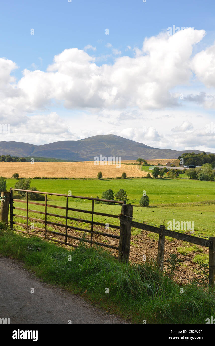 Royal Deeside landscape, Scotland, Autumn, Tarland, Aboyne, Ballater ...
