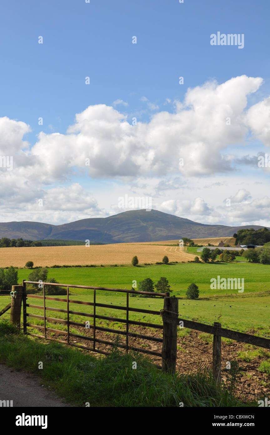 Royal Deeside landscape, Scotland, Autumn, Tarland, Aboyne, Ballater ...