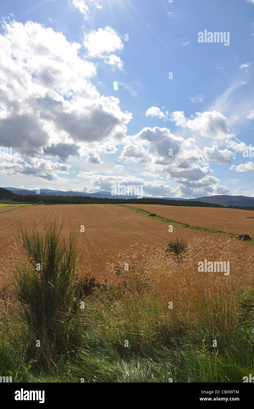 Royal Deeside landscape, Scotland, Autumn, Tarland, Aboyne, Ballater ...
