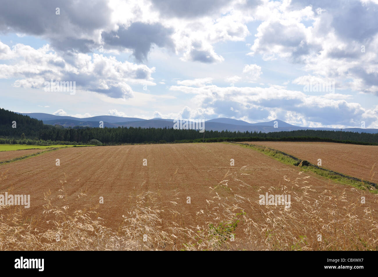 Royal Deeside landscape, Scotland, Autumn, Tarland, Aboyne, Ballater ...