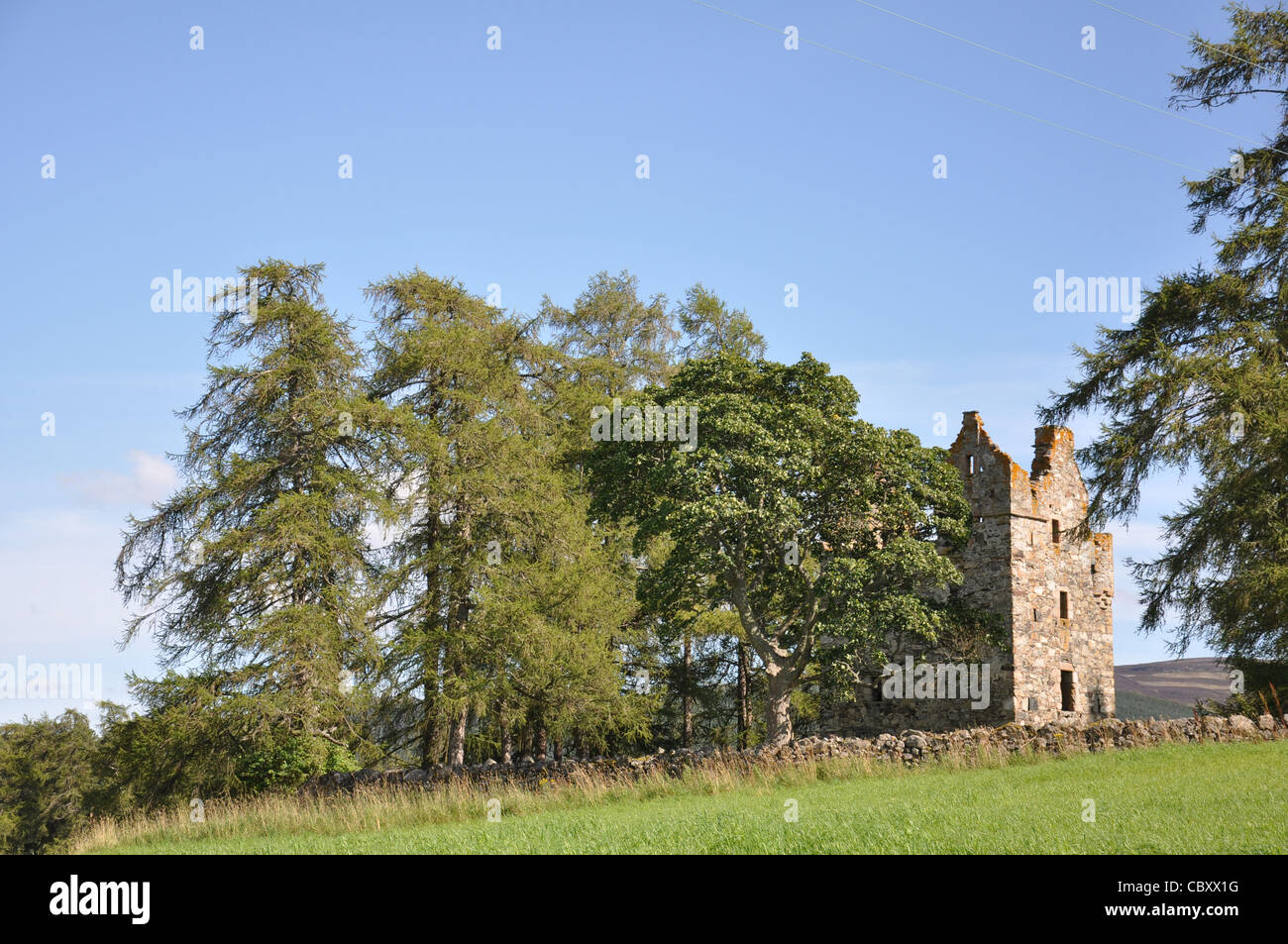 HM the Queen's Highland Cattle fold, Royal Deeside, Ballater, Balmoral ...