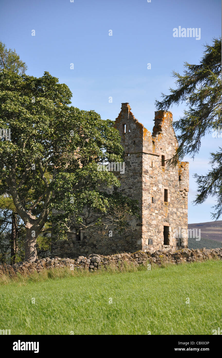 HM the Queen's Highland Cattle fold, Royal Deeside, Ballater, Balmoral ...