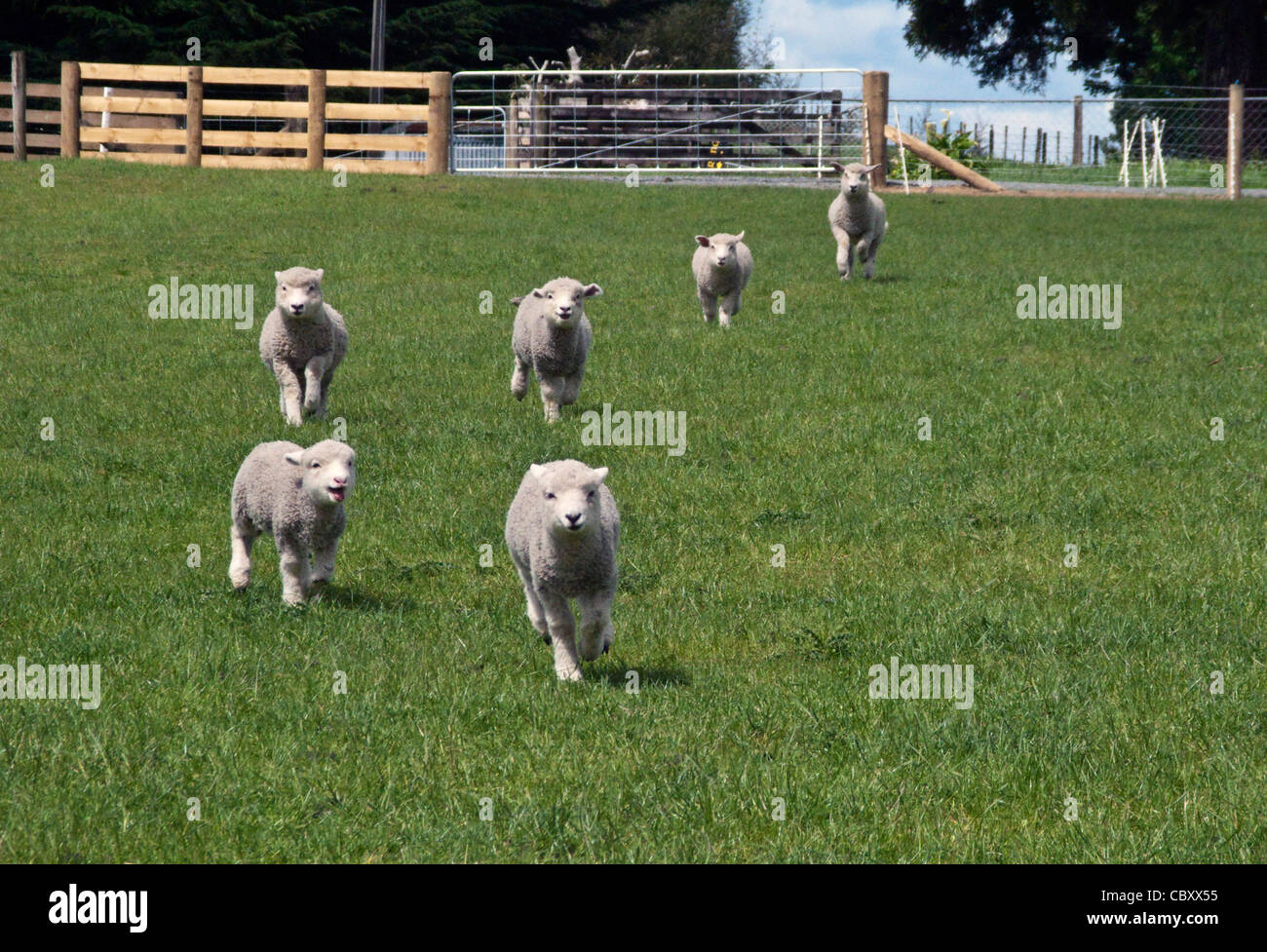 Matamata hobbiton hi-res stock photography and images - Alamy