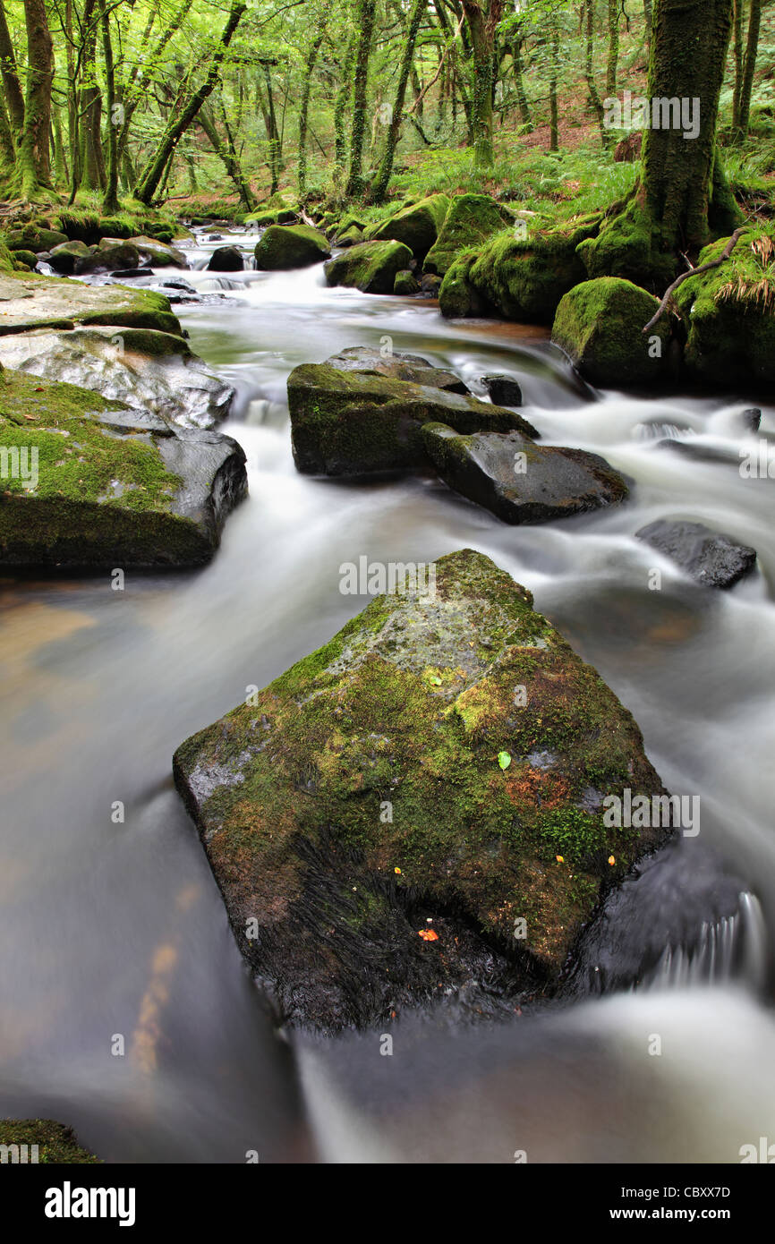 Bodmin moor summer landscape hi-res stock photography and images - Alamy