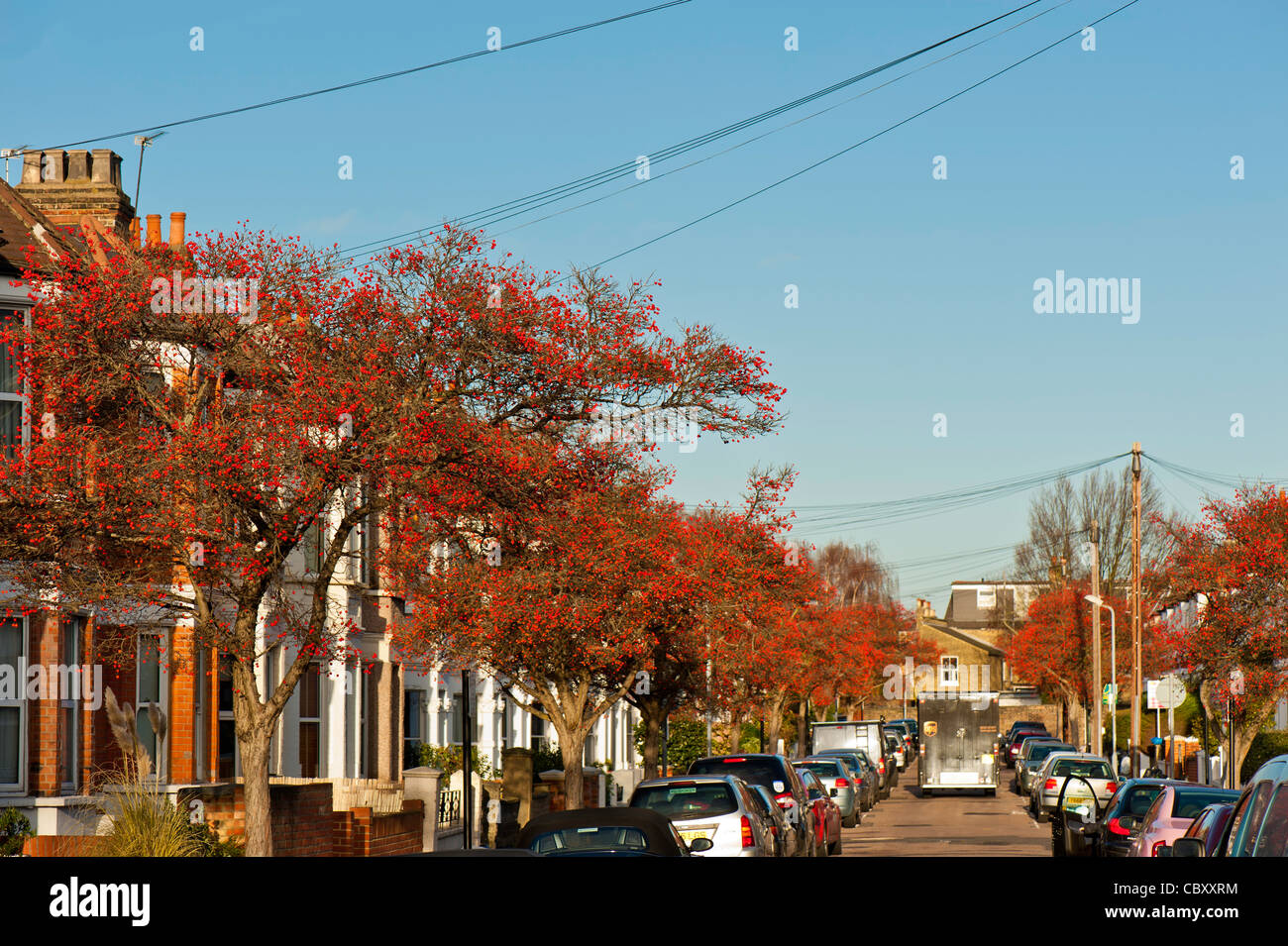 Eastbury hi-res stock photography and images - Alamy