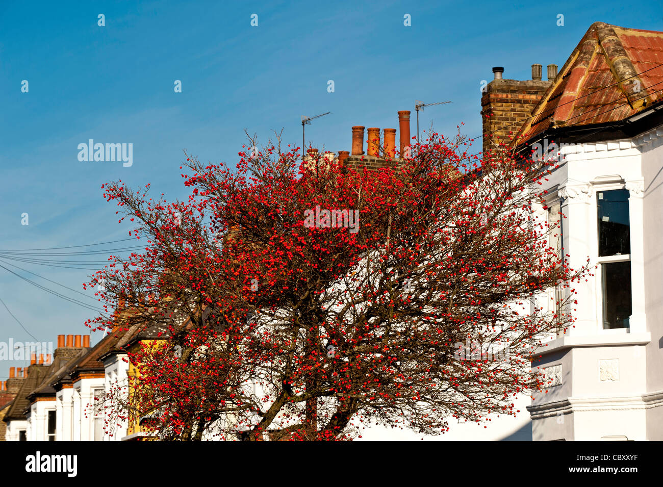 Chiswick street hi-res stock photography and images - Alamy