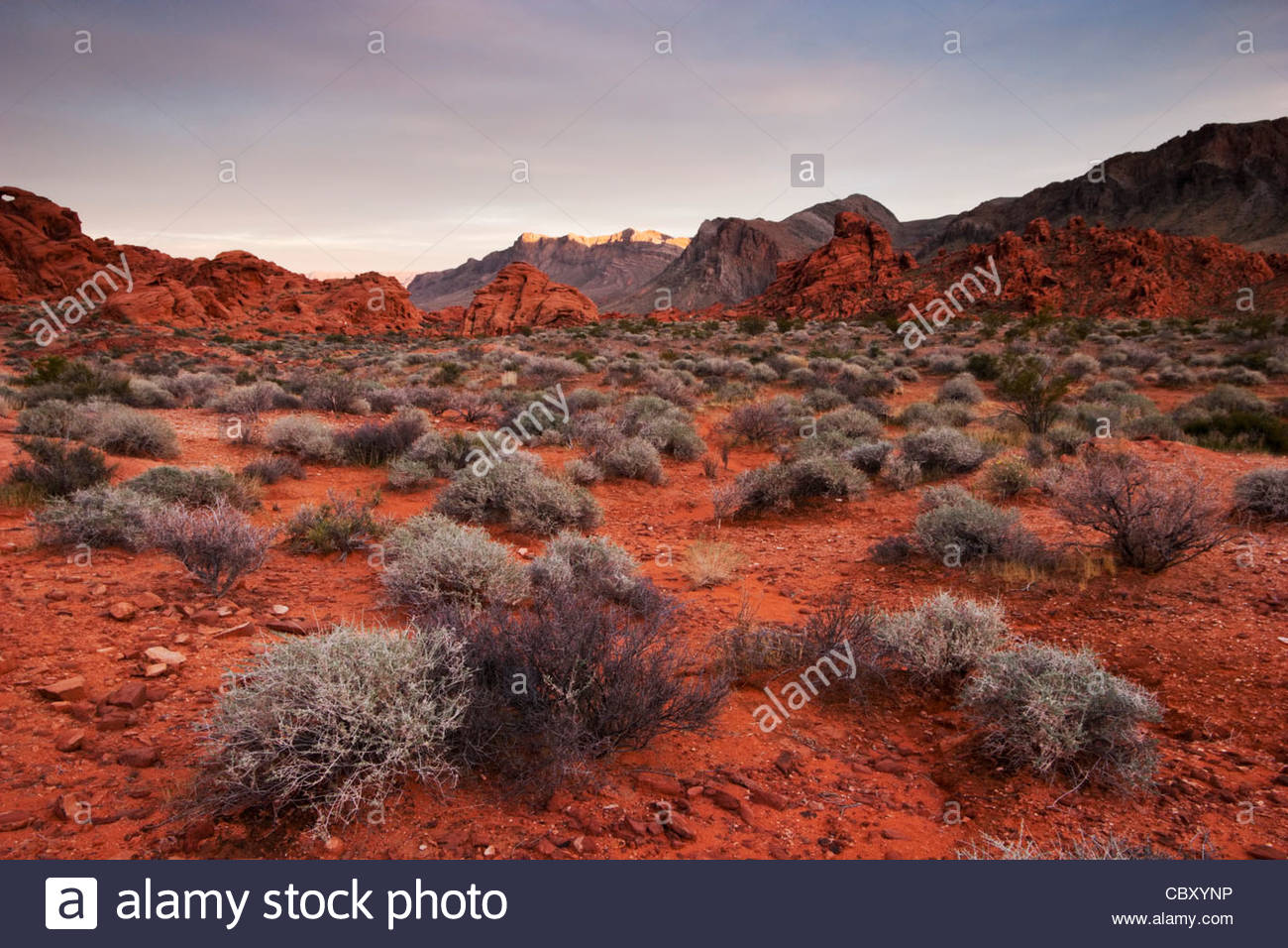 Nevada Landscape High Resolution Stock Photography and Images - Alamy