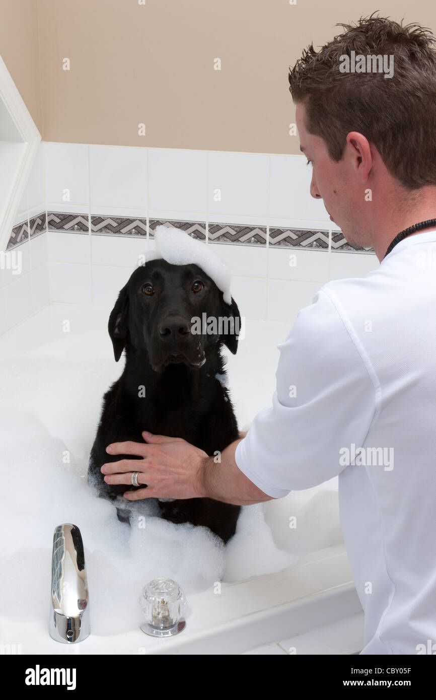 Man washing his dog hi-res stock photography and images - Alamy