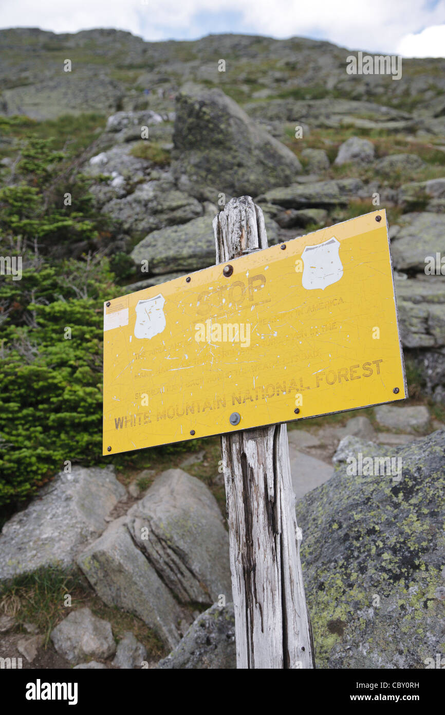 White Mountain National Forest in New Hampshire USA Stock Photo - Alamy