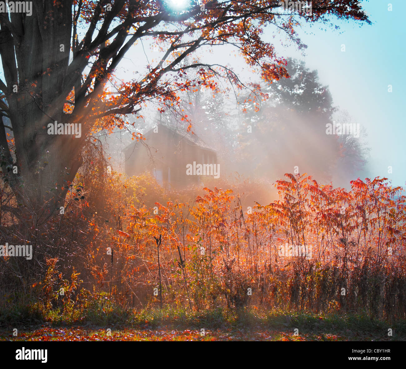 Country Church in the early morning rays of the sun in Autumn Stock ...