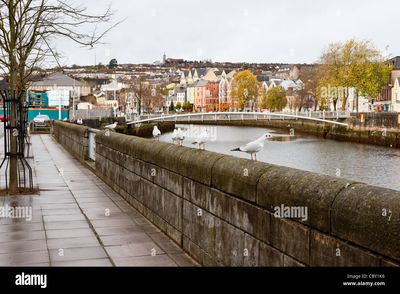 Bridge and lee river cork hi-res stock photography and images - Alamy