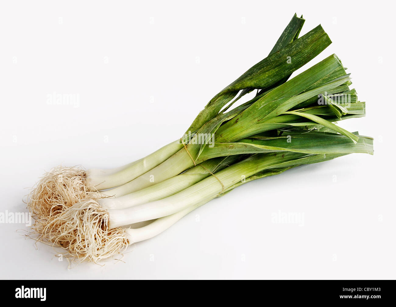 a bunch of leeks isolated on a white background Stock Photo - Alamy
