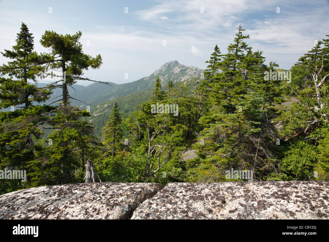 White Mountain National Forest in New Hampshire USA Stock Photo - Alamy