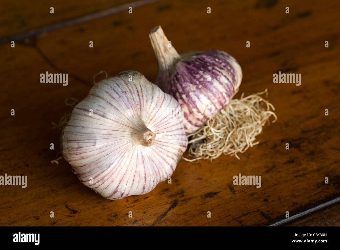 fresh organic garlic home grown Stock Photo - Alamy