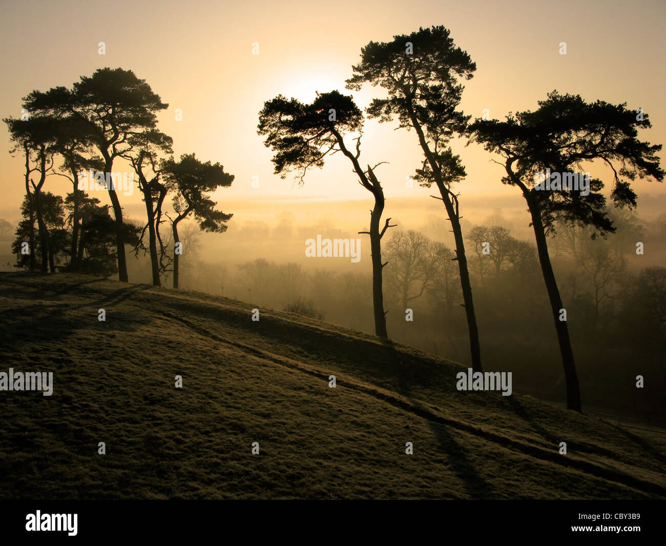 Rays from setting sun hi-res stock photography and images - Alamy