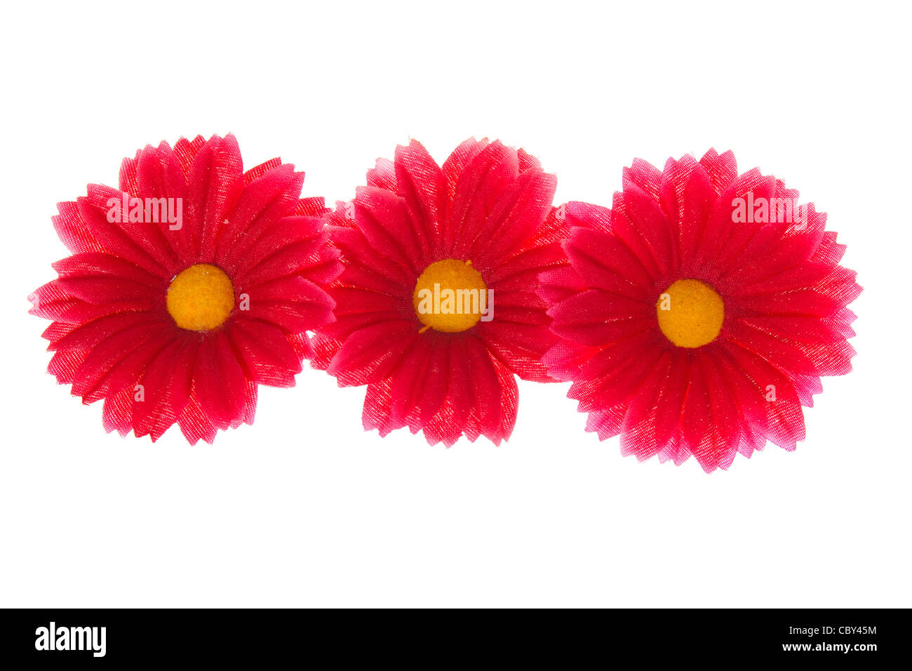 red flowers photo on the white background Stock Photo - Alamy