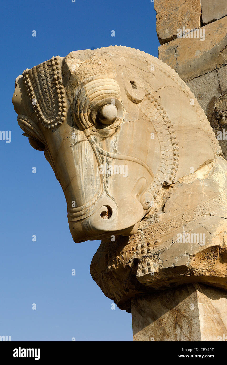 Horse statue persepolis iran High Resolution Stock Photography and ...