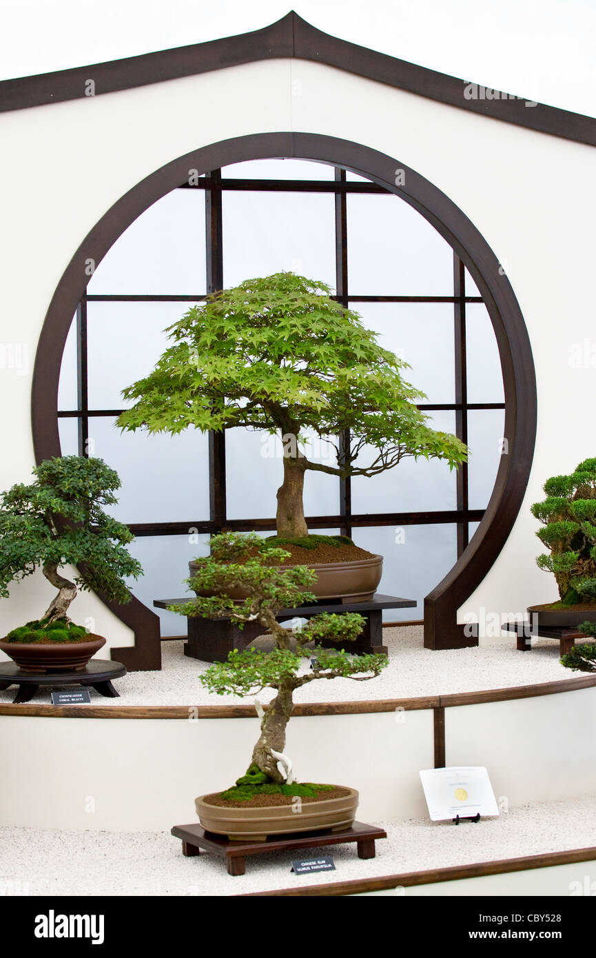 Japanese Zen Gardener High Resolution Stock Photography and Images - Alamy