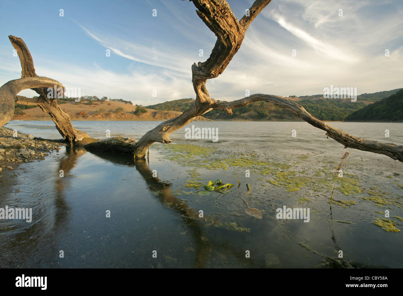 Man-made Calero Lake in the Santa Cruz Mountains of California, at dusk ...