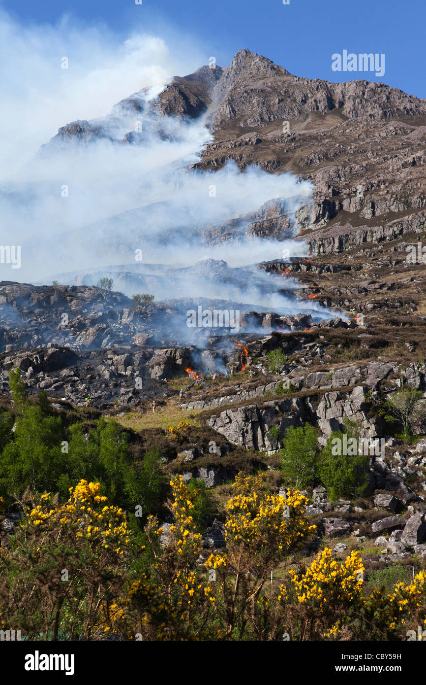 Smoke wild fire bush hi-res stock photography and images - Alamy