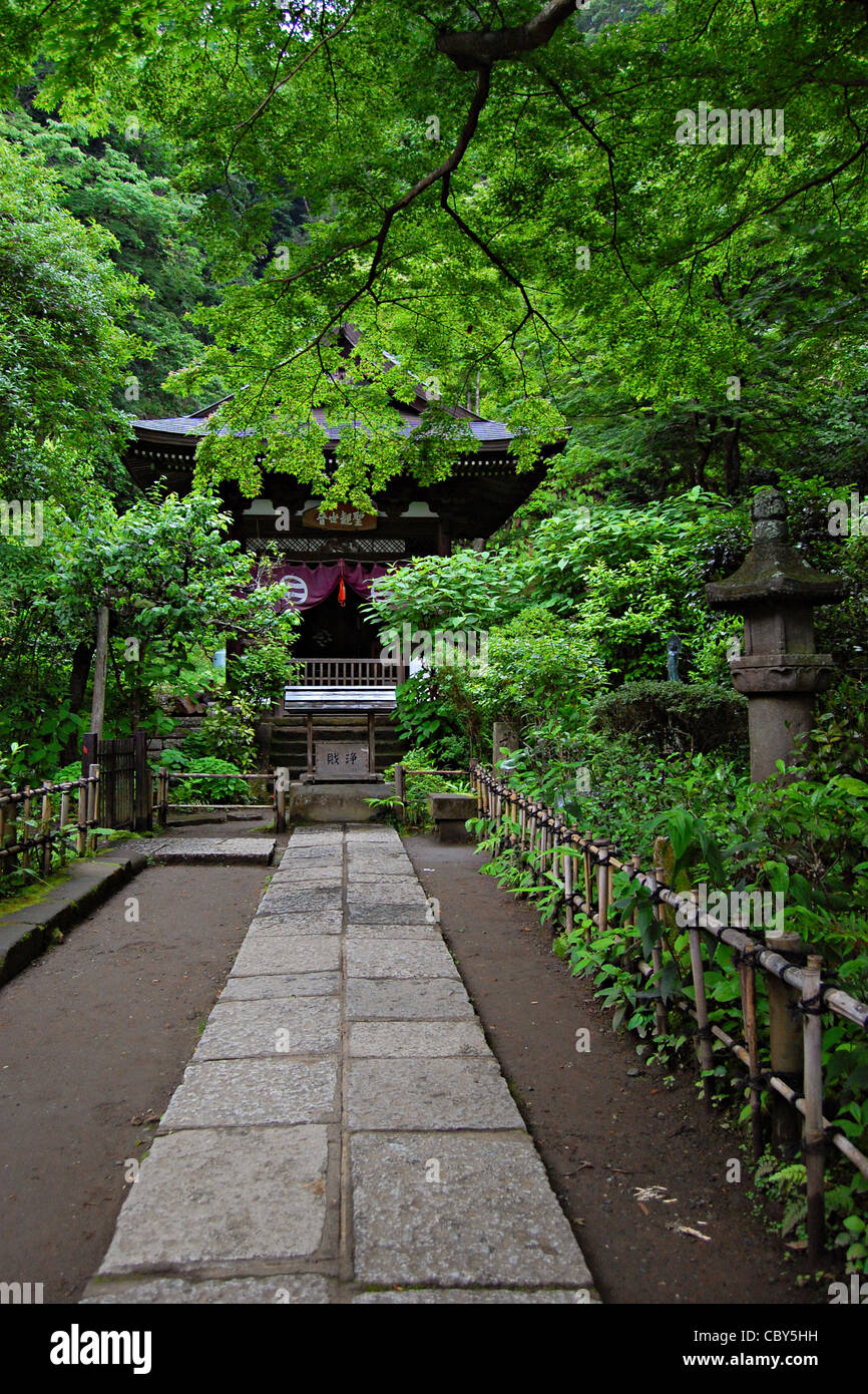 Shrine, Engaku-ji Temple, Kamakura, Japan Stock Photo - Alamy