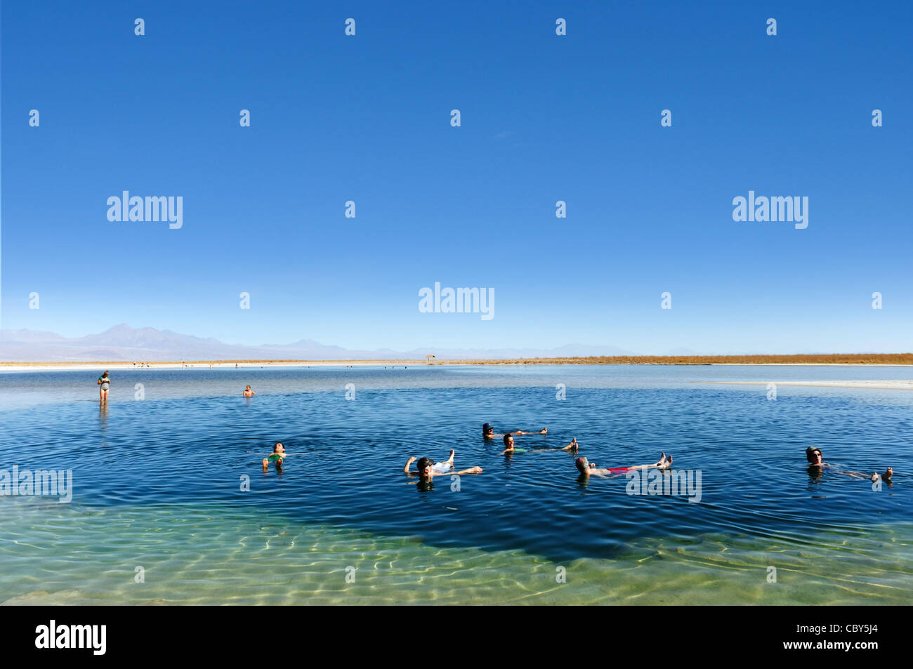 Tourists floating in Laguna Cejar (also called Laguna Cejas) in ...