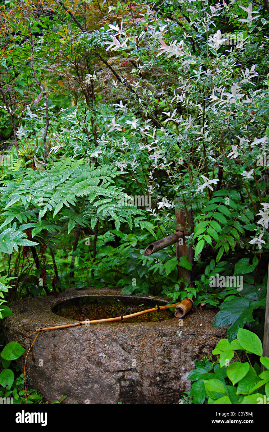 Tranquil zen engakuji hi-res stock photography and images - Alamy