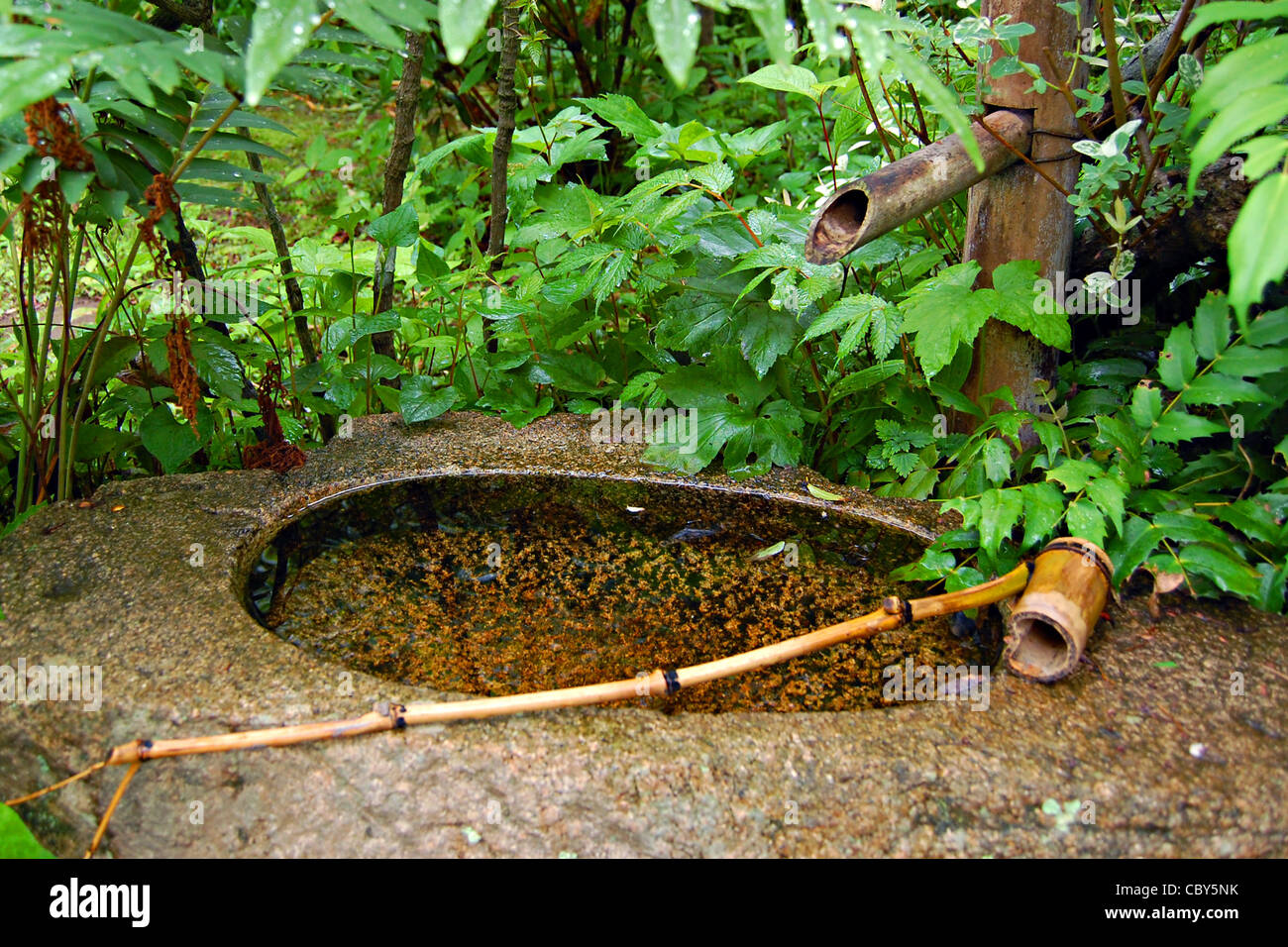 Cistern, Engaku-ji Temple, Kamakura, Japan Stock Photo - Alamy