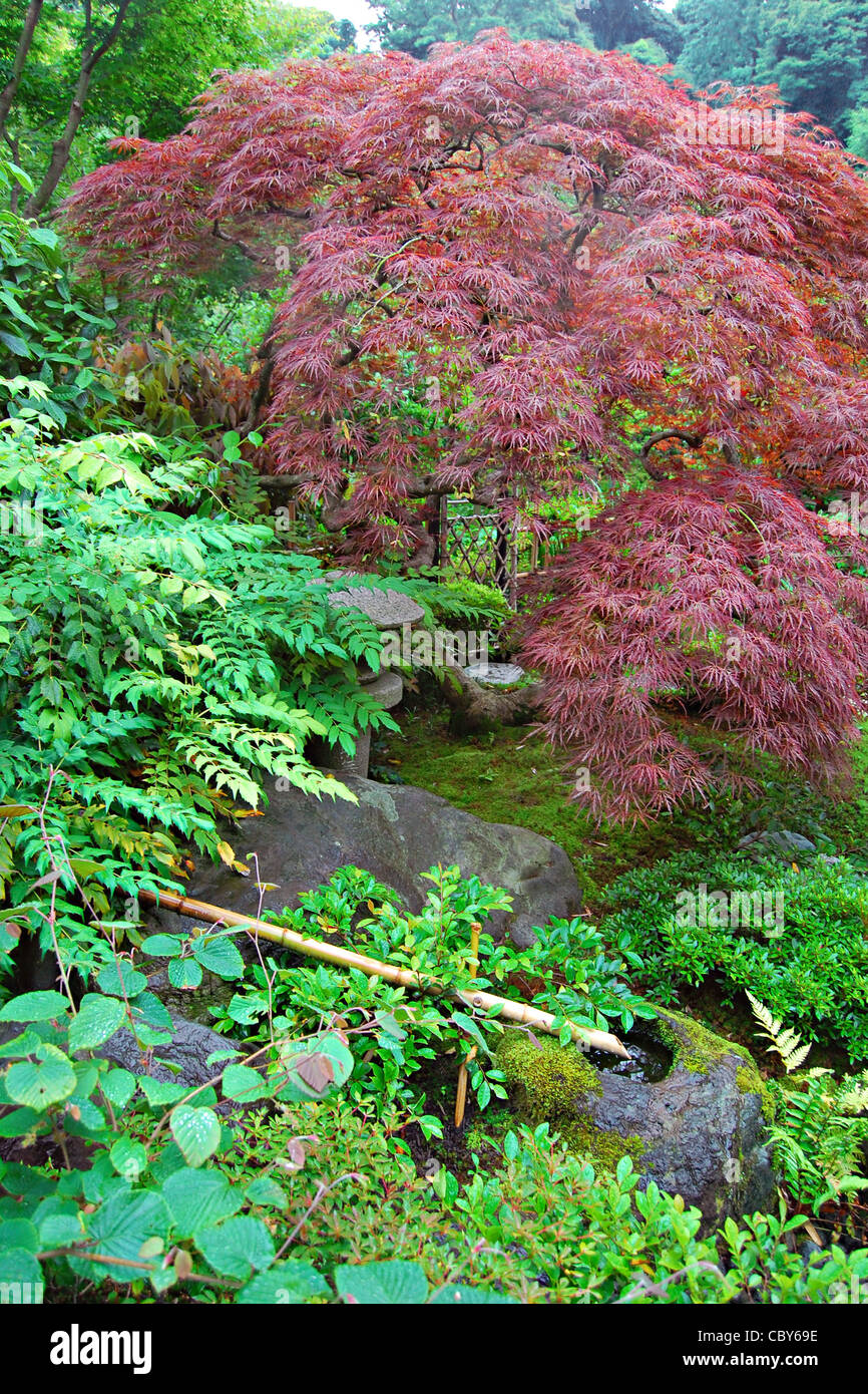Kosoku-ji Temple Garden, Kamakura, Japan Stock Photo - Alamy
