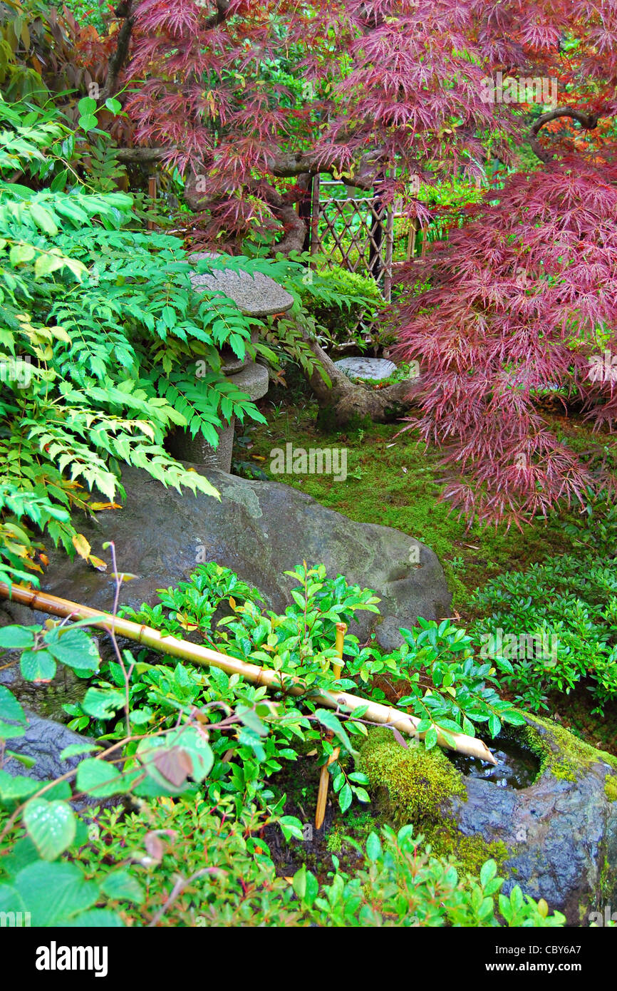 Kosoku-ji Temple Garden, Kamakura, Japan Stock Photo - Alamy