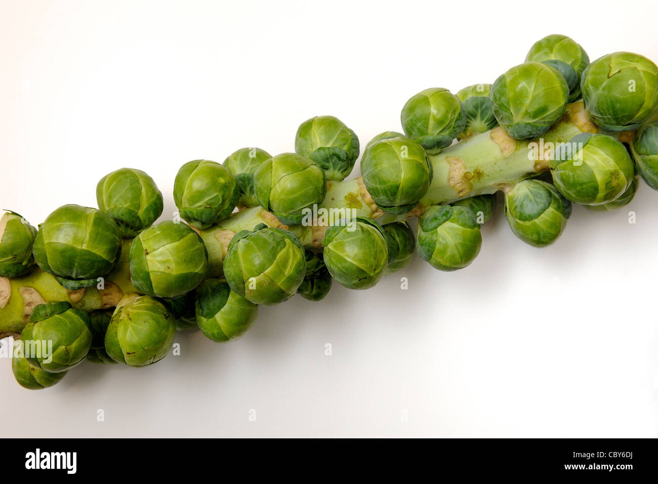 Sprouts on stalk hi-res stock photography and images - Alamy