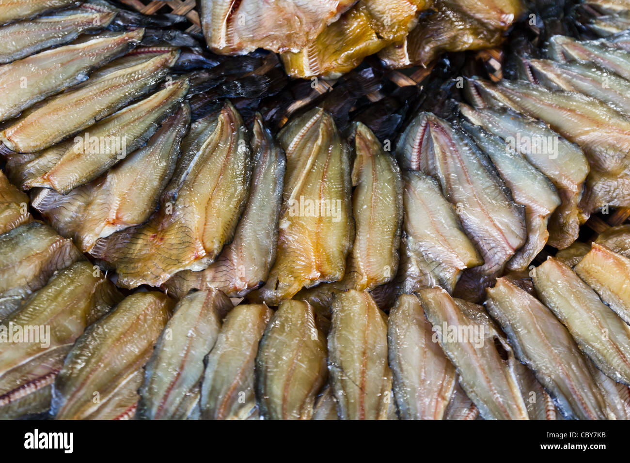 Raw bluefish hi-res stock photography and images - Alamy