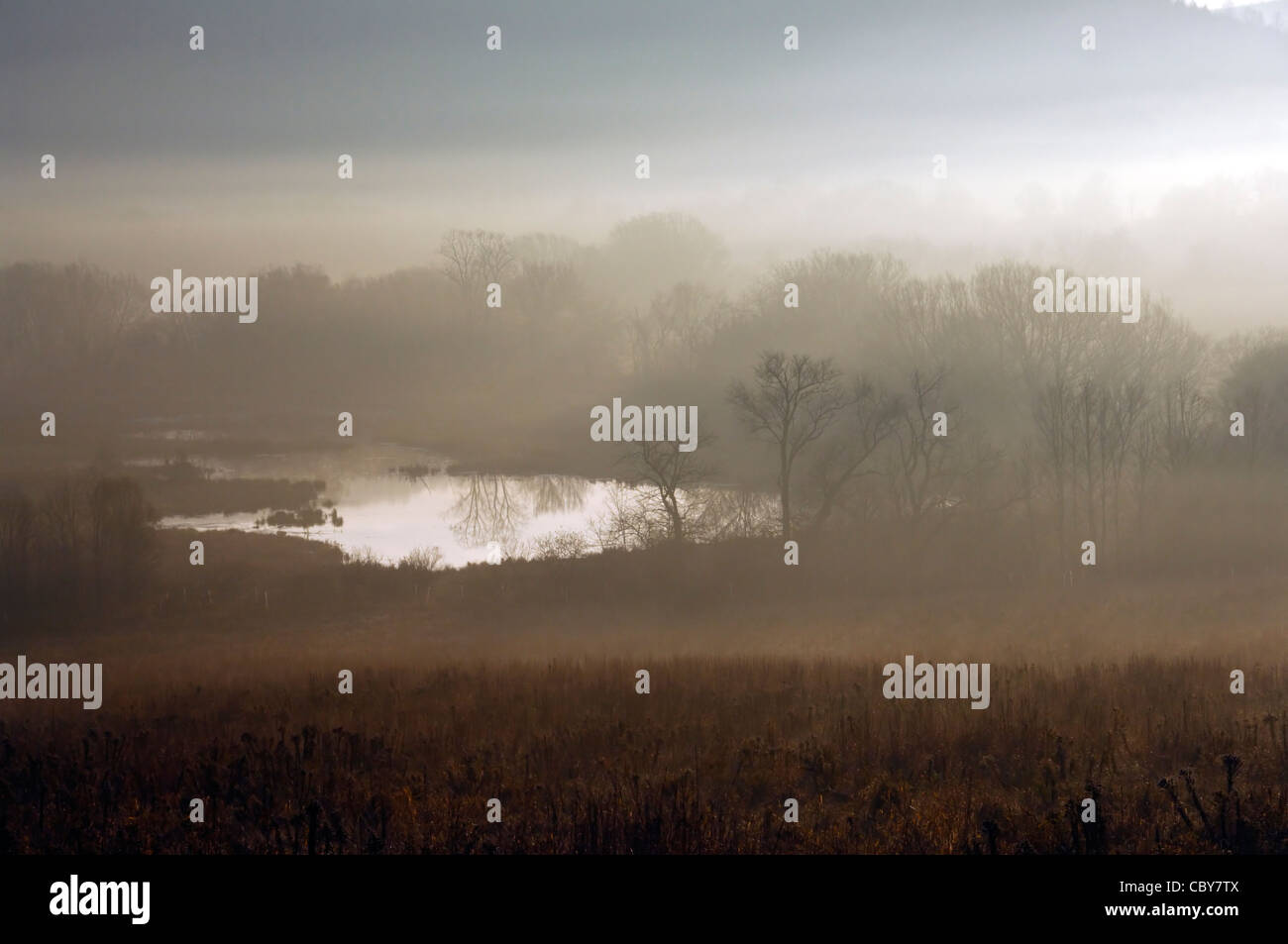 Foggy pond hi-res stock photography and images - Alamy