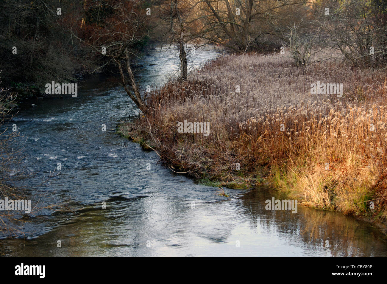 Rust colored river hi-res stock photography and images - Alamy