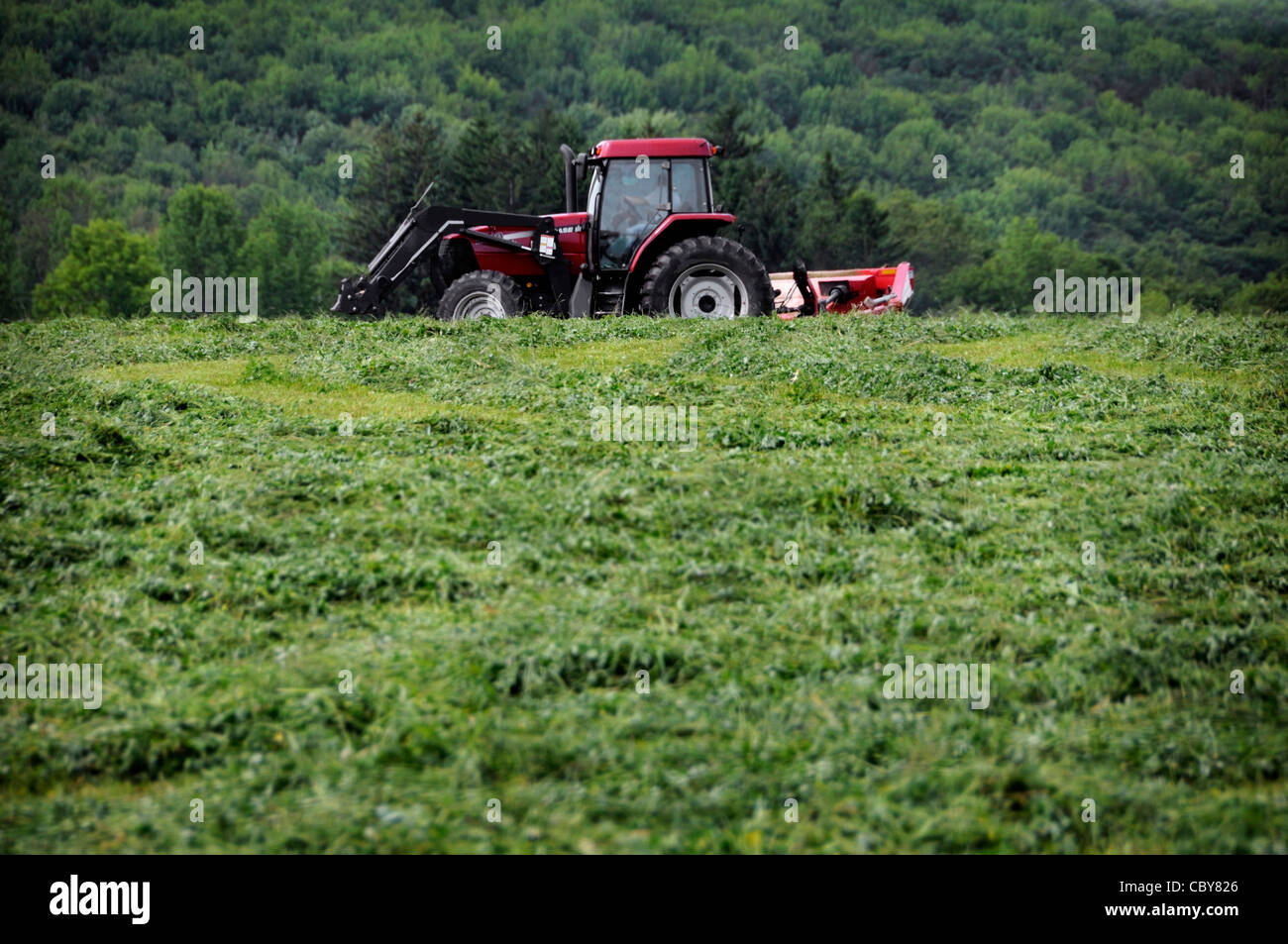A tractor mowing grass in an open field Stock Photo - Alamy