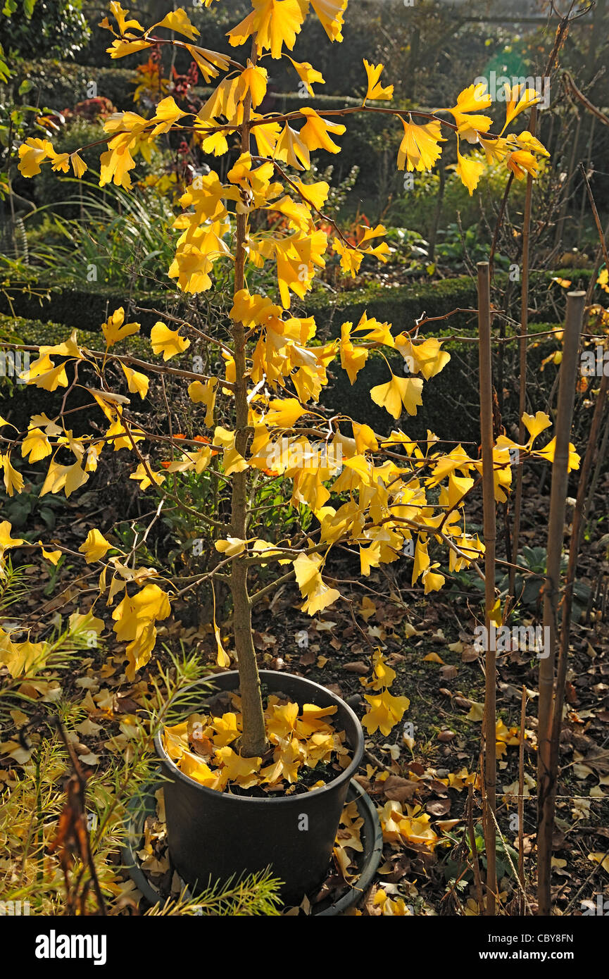 Bilboa hi-res stock photography and images - Alamy