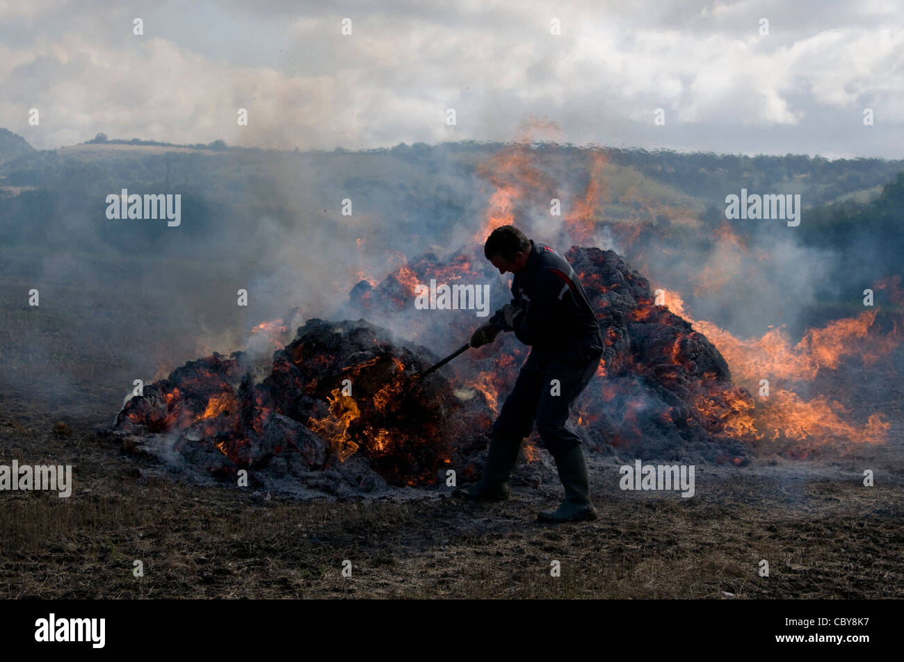 Harvesting Flax High Resolution Stock Photography and Images - Alamy