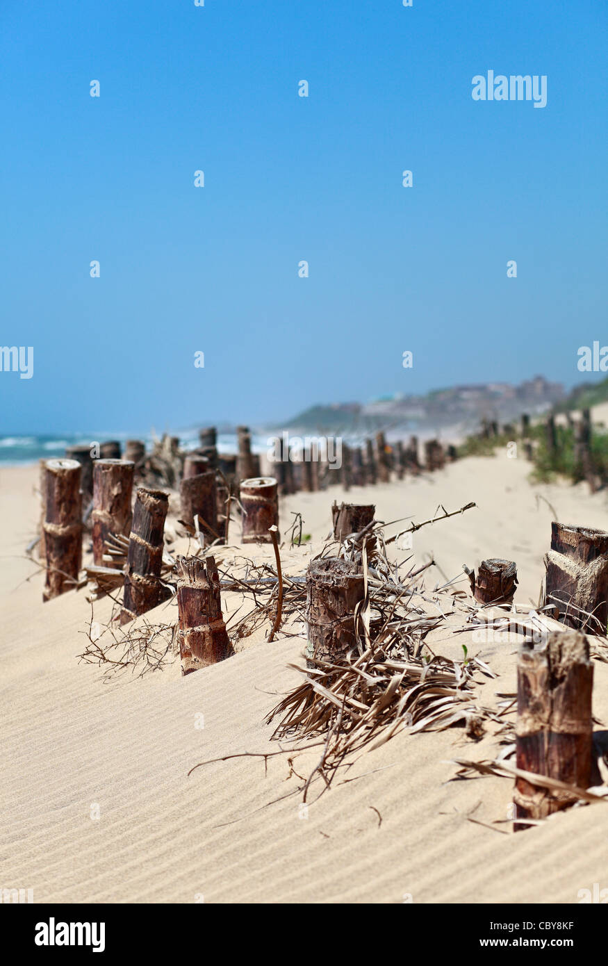 Sand dune stabilization hi-res stock photography and images - Alamy