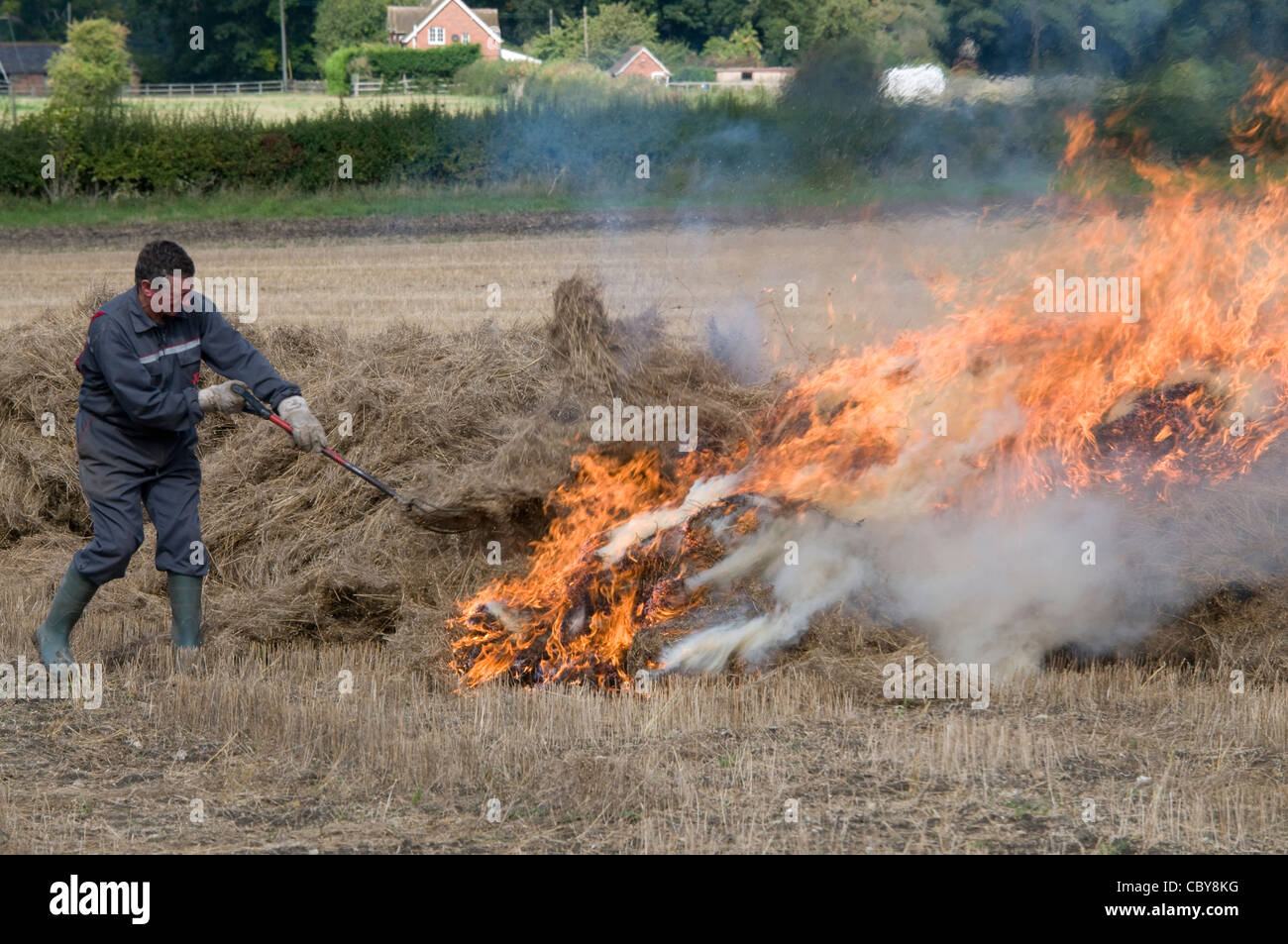 Harvesting Flax High Resolution Stock Photography and Images - Alamy