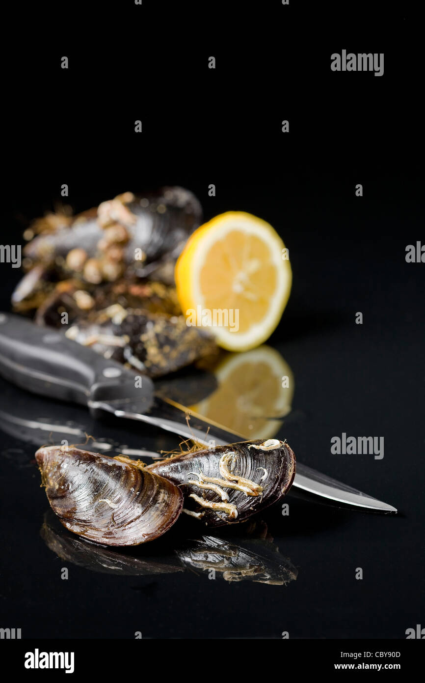 raw seafood, mussels with lemon on a dark table and a knife Stock Photo ...