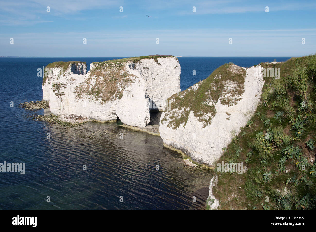 Old Harry Rocks. Massive chalk stacks standing just off the vertiginous ...