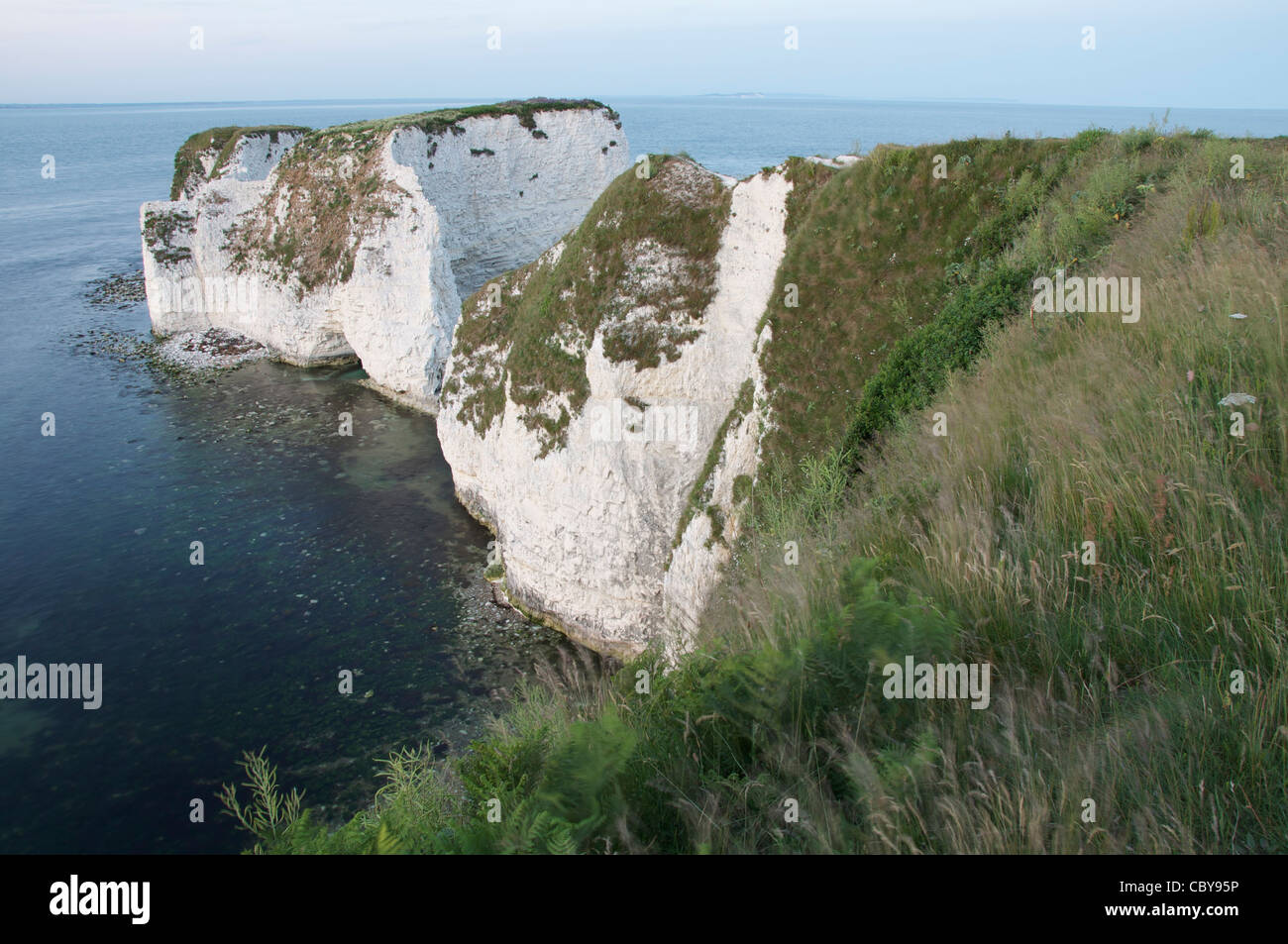 Old Harry Rocks. Massive chalk stacks standing just off the vertiginous ...